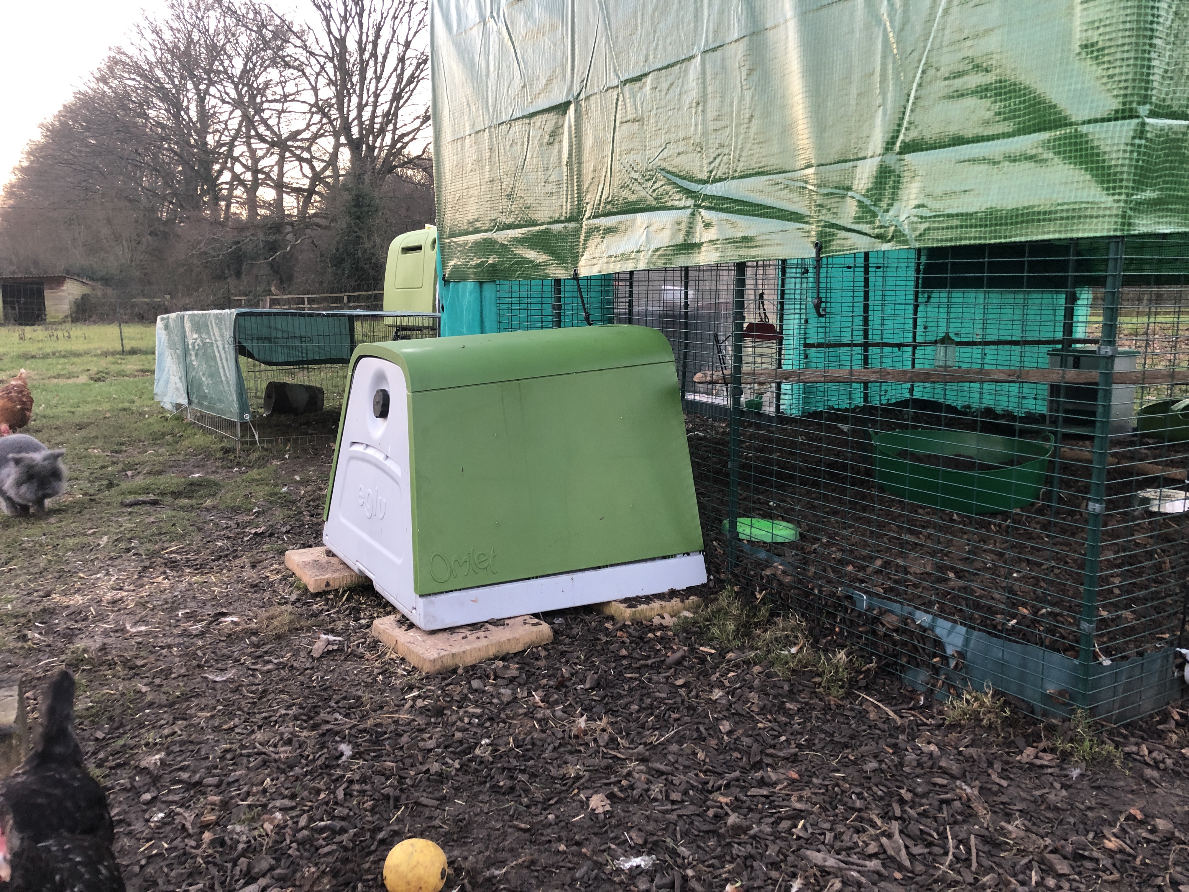 Hönshuset Eglu Go | Ett hönshus i plast för ett par fåglar