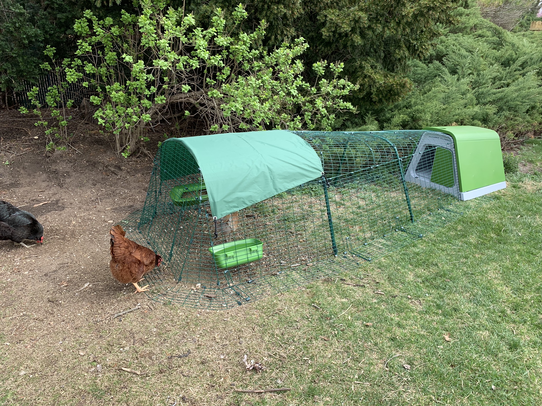 Hönshuset Eglu Go | Ett hönshus i plast för ett par fåglar