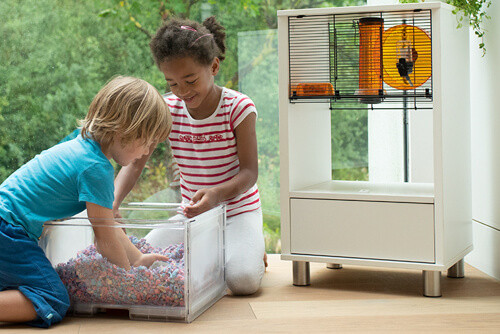 Hamsterburar, gerbilburar, hamsterleksaker och mycket mer | Omlet