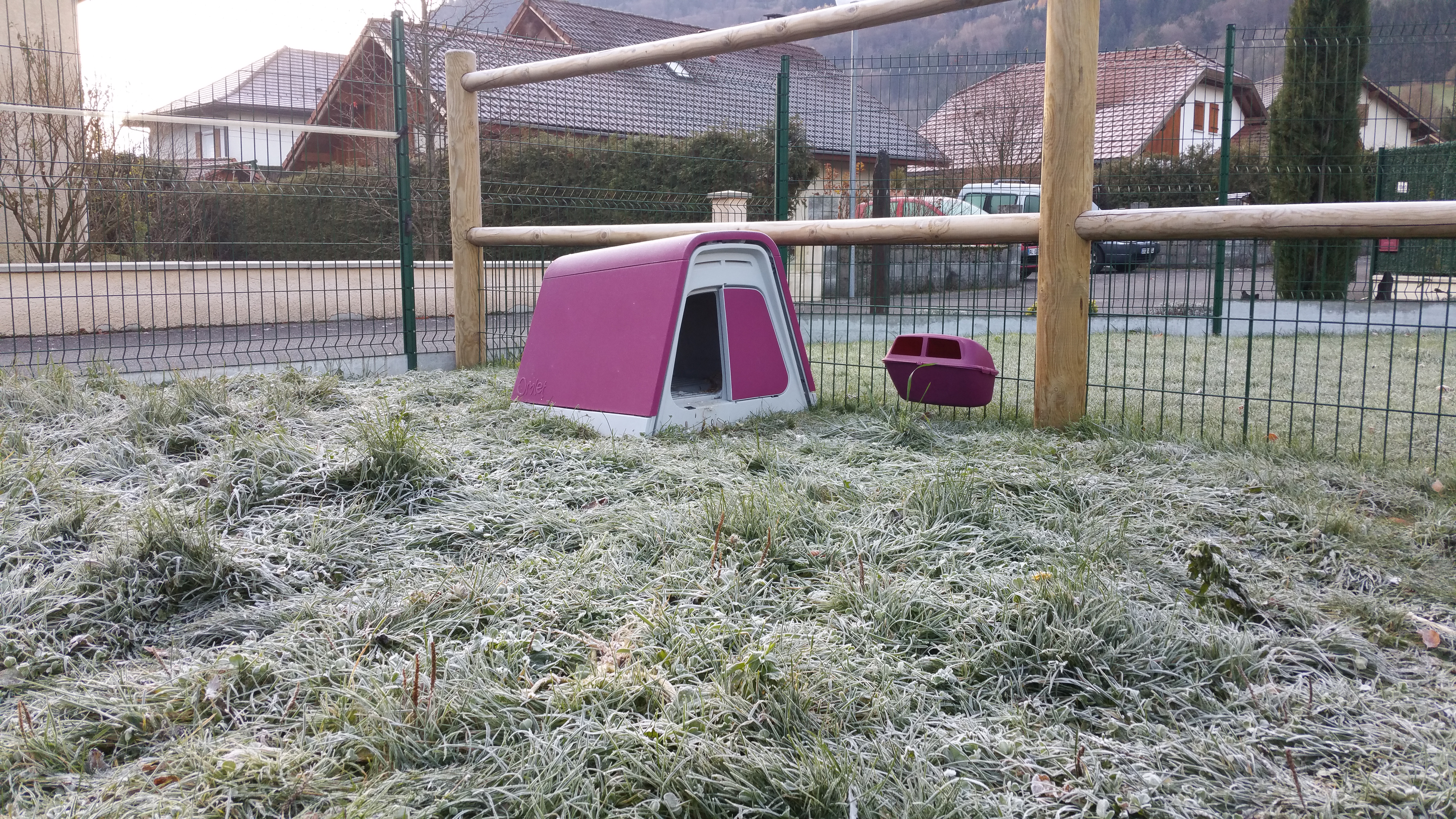 Hönshuset Eglu Go | Ett hönshus i plast för ett par fåglar