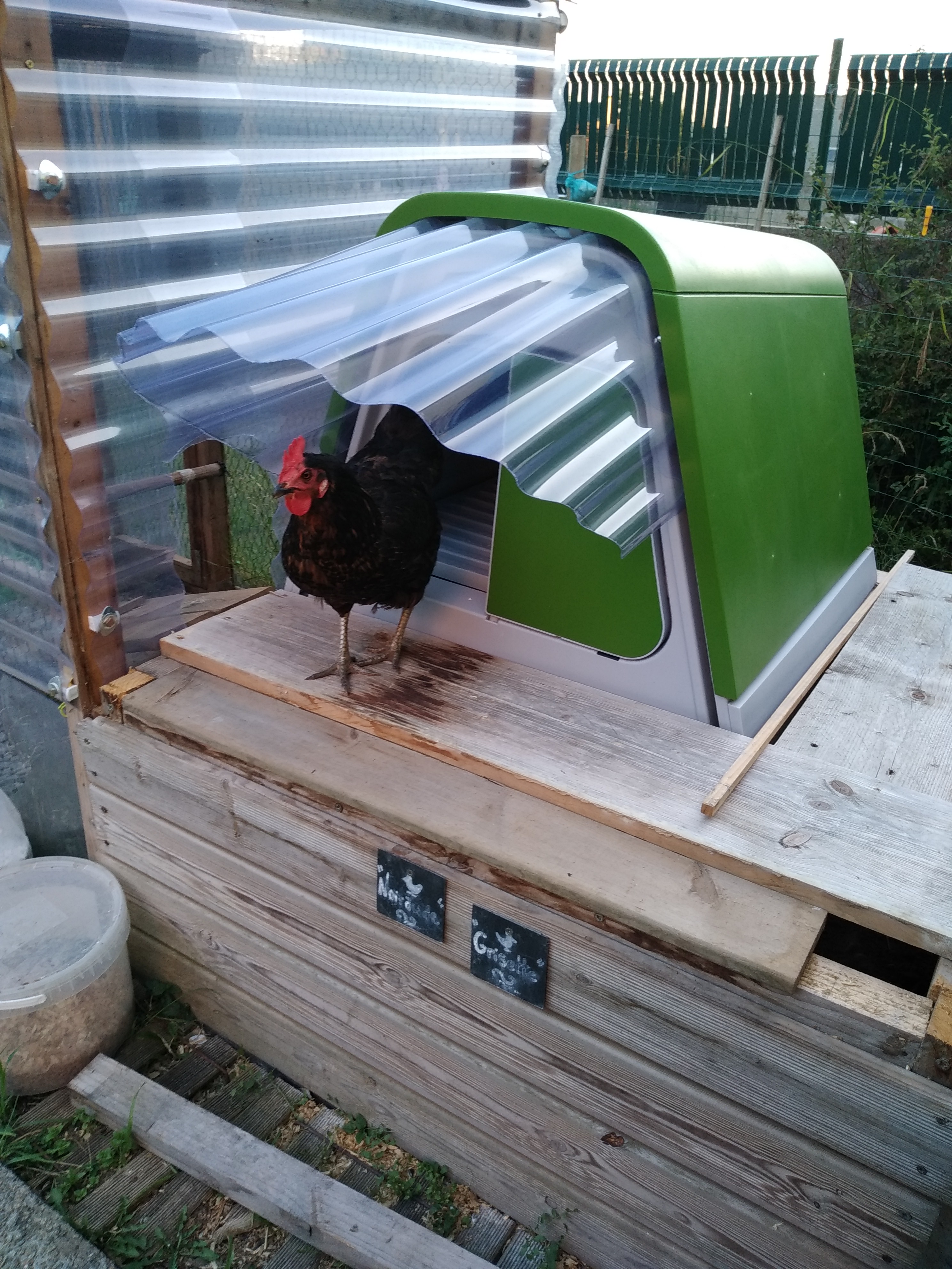 Hönshuset Eglu Go | Ett hönshus i plast för ett par fåglar